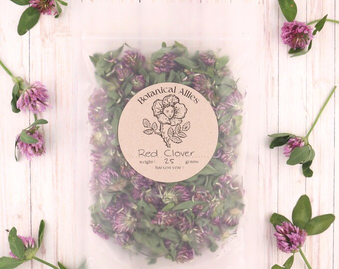 Dried Red Clover Flowers and Top Leaves * 2025 Harvest * Trifolium ...
