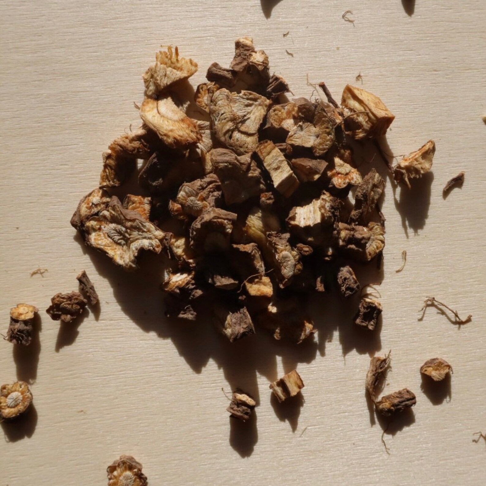 Dried Angelica Root 2023 Harvest Angelica Archangelica - Etsy