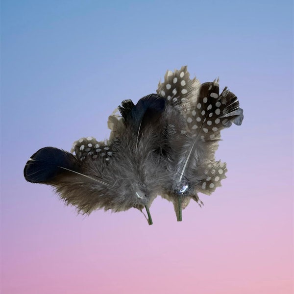 Dog Hair Extensions - Etsy