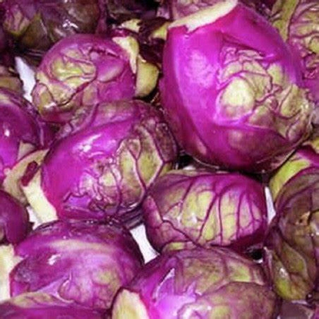 Red Bull Brussell Sprouts Seeds - Etsy