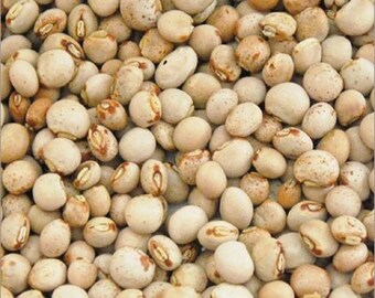 Gandules Verdes Pigeon Pea Congo Pea - Etsy