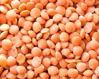 Lentil Seed Red Lentil Seeds, Microgreen, Sprouting, Seed, NON GMO ...