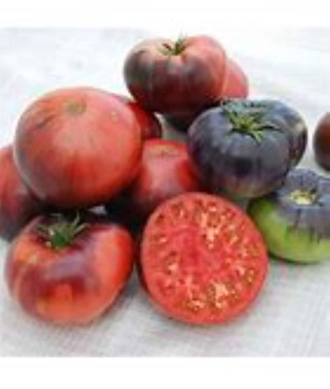 Blue Beauty Tomato Seeds - Etsy