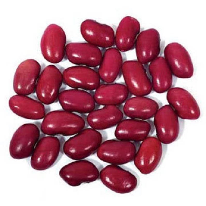 1 Lb. Red Kidney Bean Seeds - Etsy
