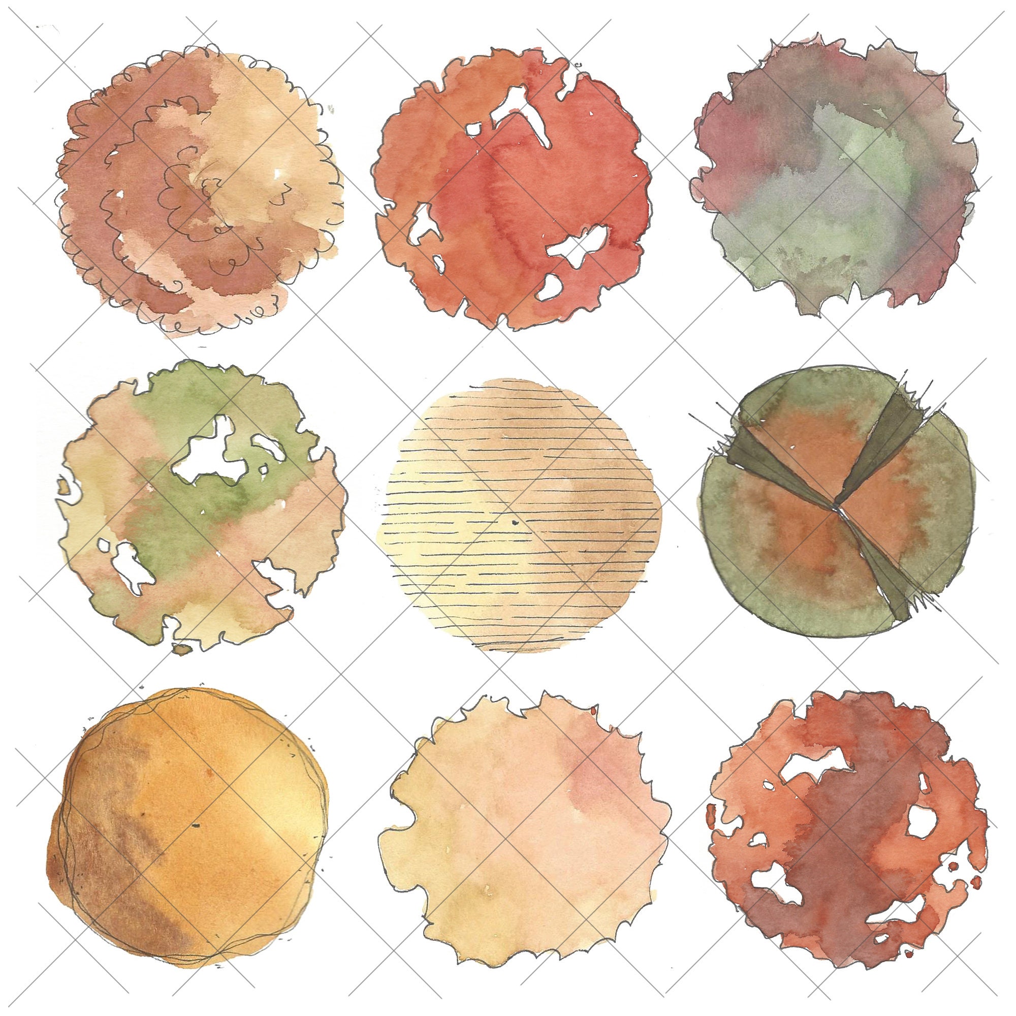 Landscape Graphics - Plan View Trees - Watercolor - Fall Variety - Etsy