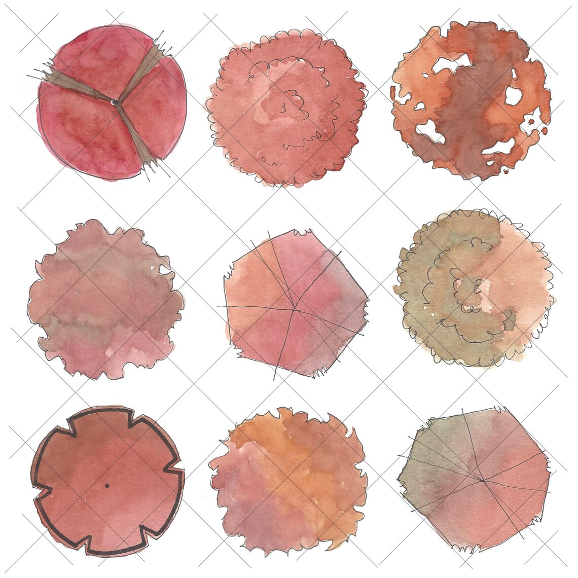 Landscape Graphics - Plan View Trees - Watercolor - Red Variety - Etsy