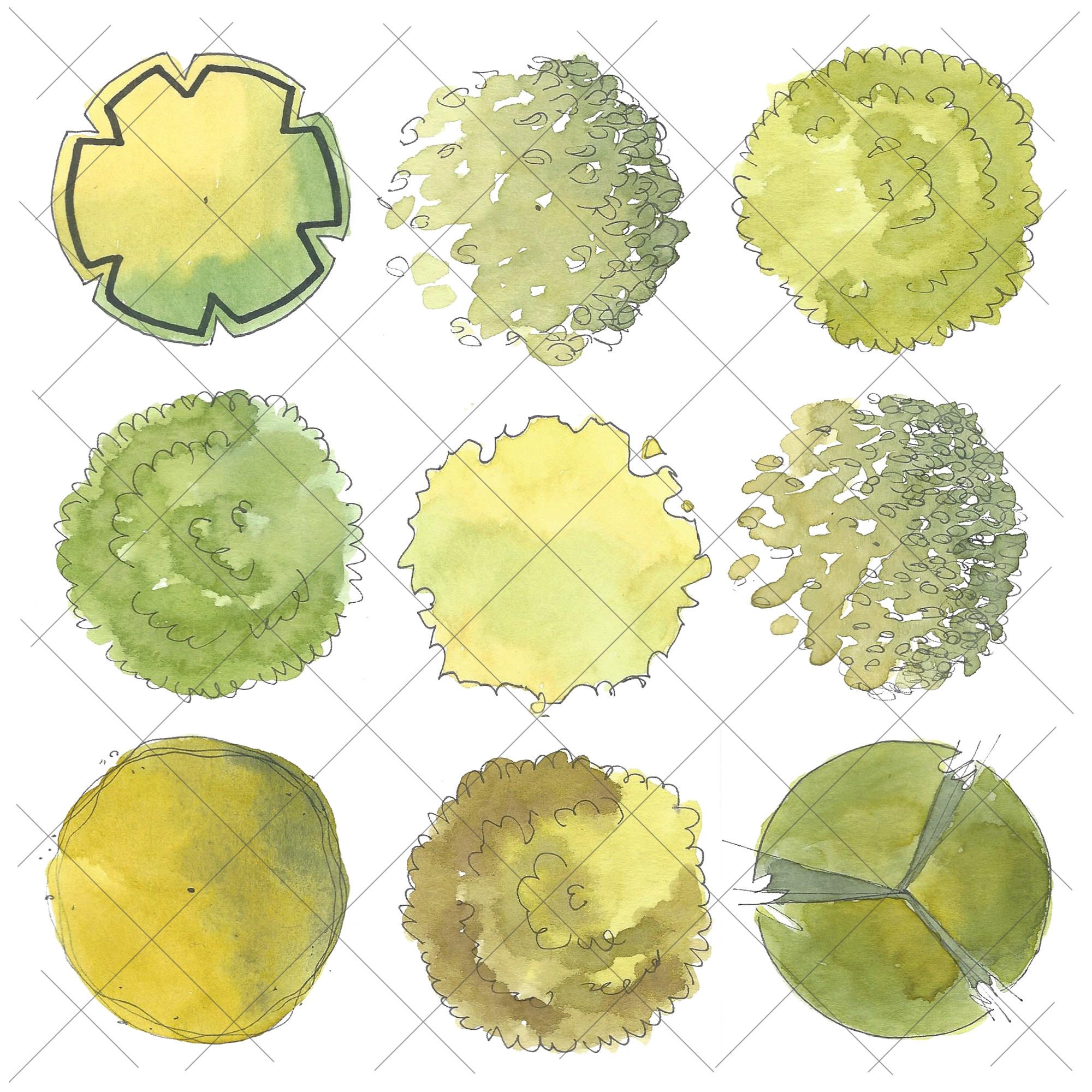 Landscape Graphics - Plan View Trees - Watercolor - Warm Green Variety ...