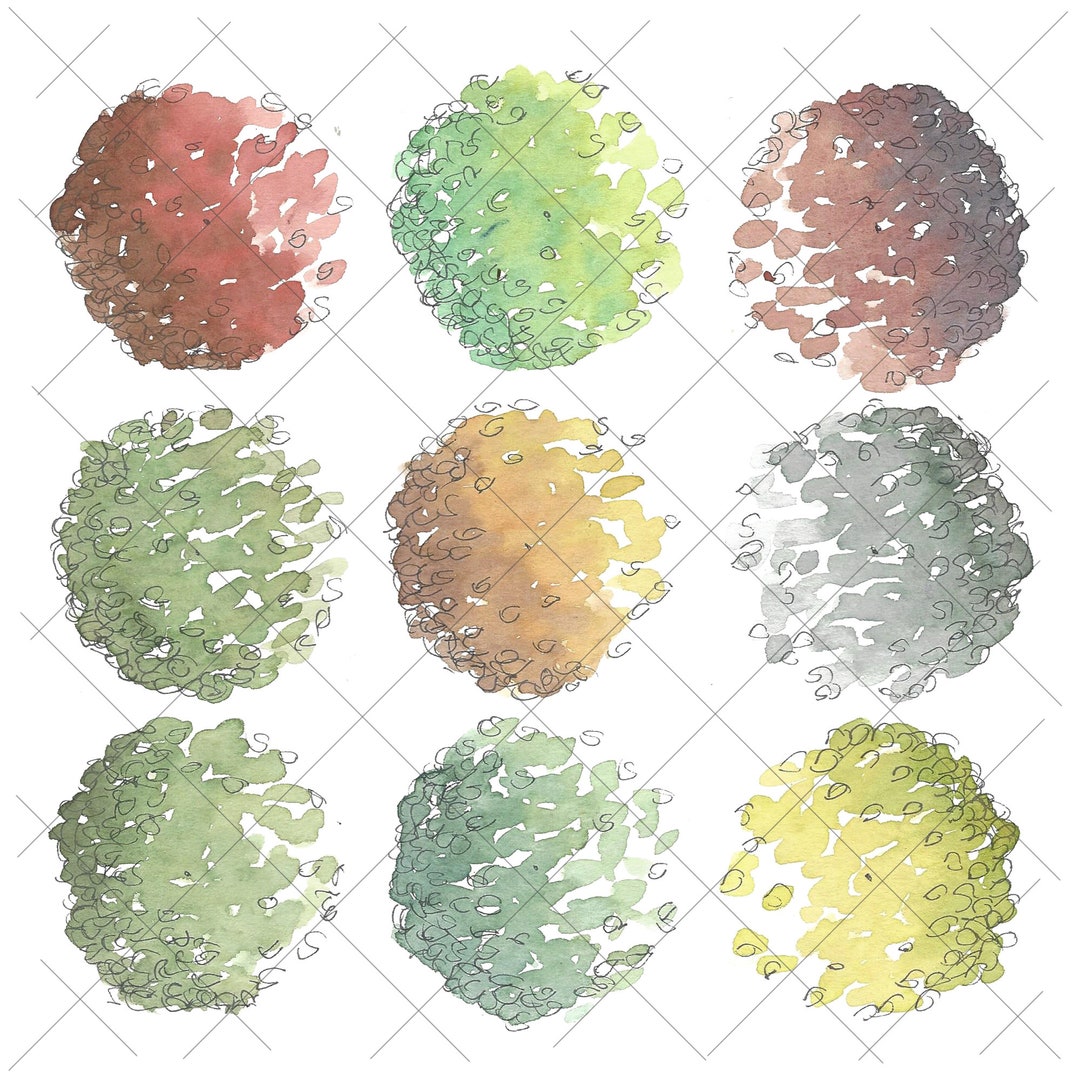 Landscape Graphics - Plan View Trees - Watercolor - Tree 014 - Etsy