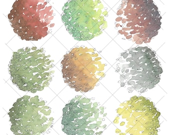 Landscape Graphics Plan View Trees Watercolor Pencil - Etsy