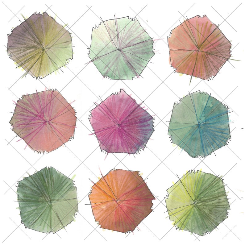 Landscape Graphics - Plan View Trees - Watercolor Pencil - Tree 013 - Etsy