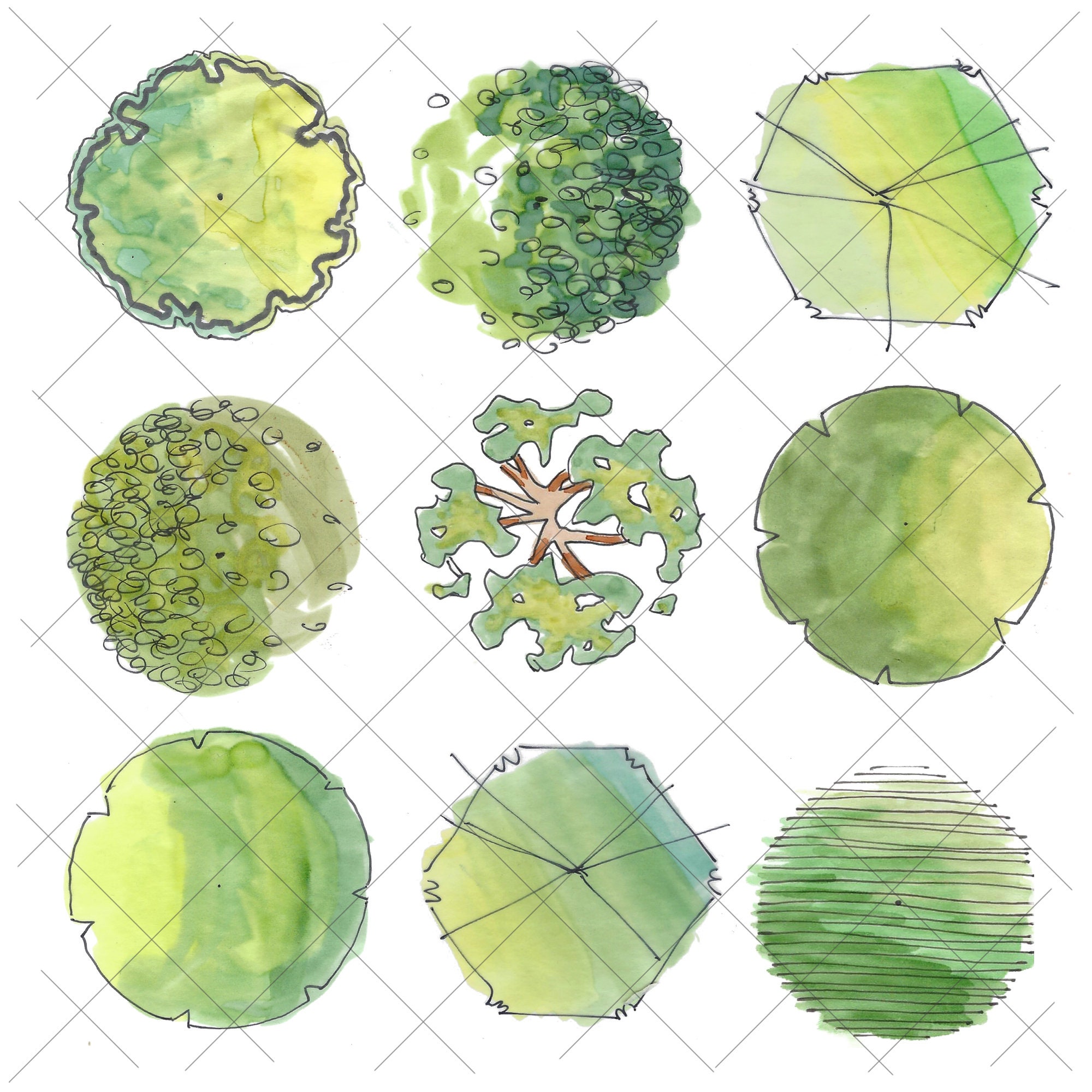 Landscape Graphics - Plan View Trees - Marker - Bright Green Variety - Etsy