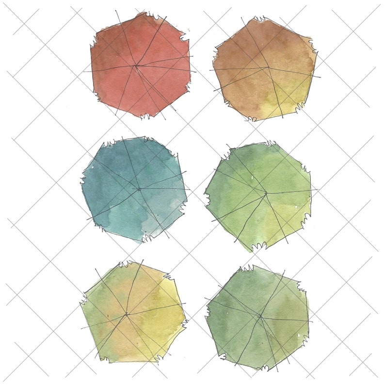 Landscape Graphics - Plan View Trees - Watercolor - Tree 013 - Etsy