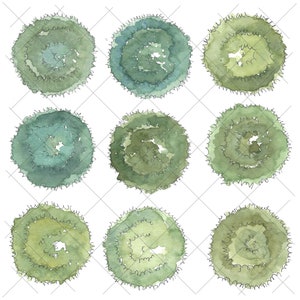 Landscape Graphics - Plan View Trees - Watercolor - Tree 004 - Etsy