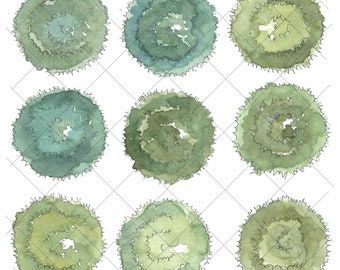 Landscape Graphics Plan View Trees Watercolor Pencil - Etsy