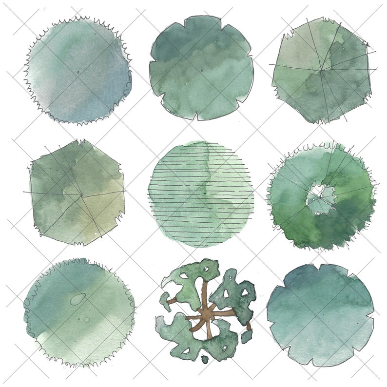 Landscape Graphics - Plan View Trees - Watercolor - Cool Green Variety ...