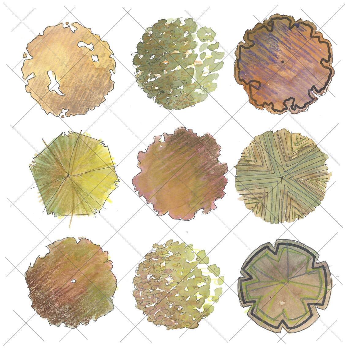 Landscape Graphics - Plan View Trees - Watercolor Pencil - Brown ...