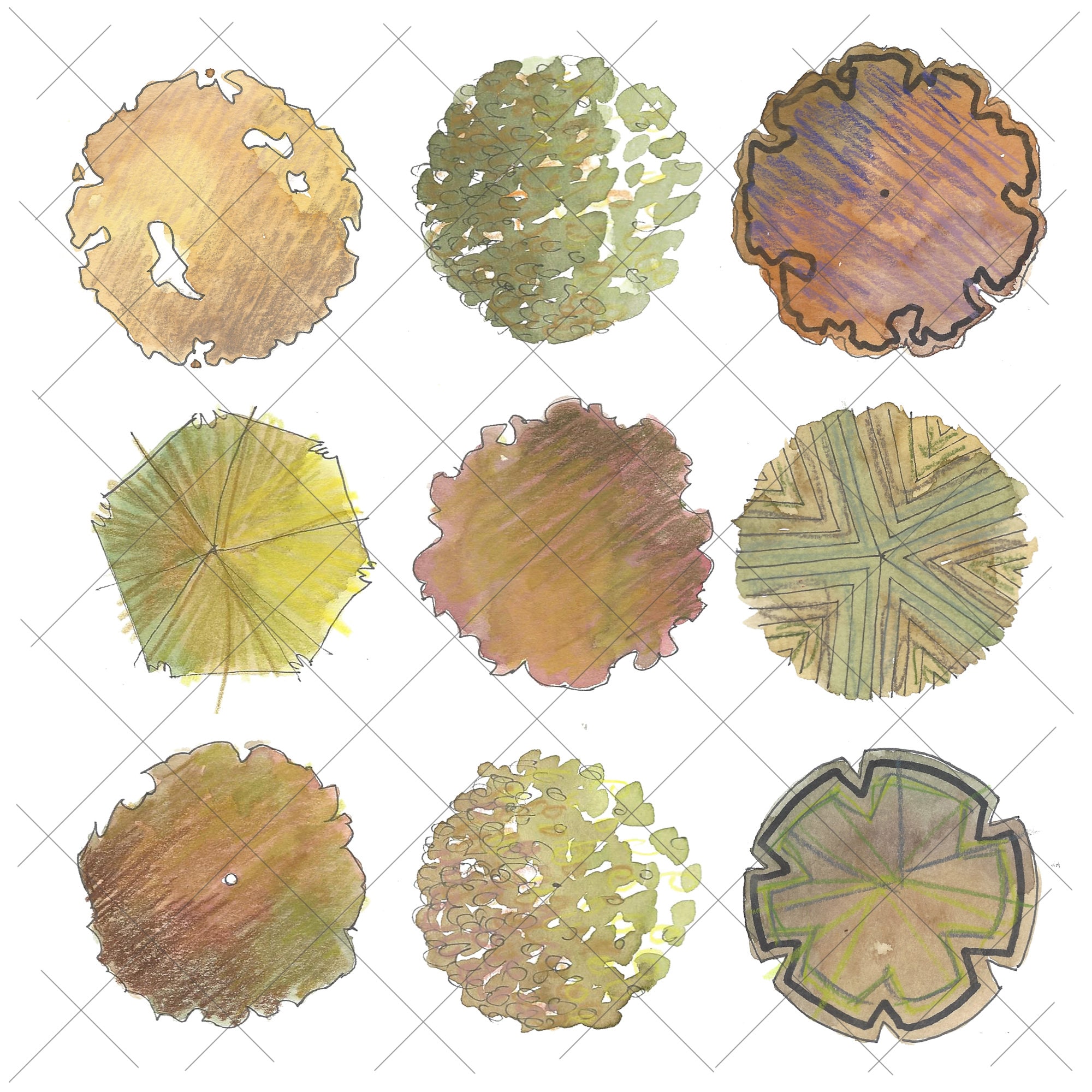 Landscape Graphics - Plan View Trees - Watercolor Pencil - Brown ...