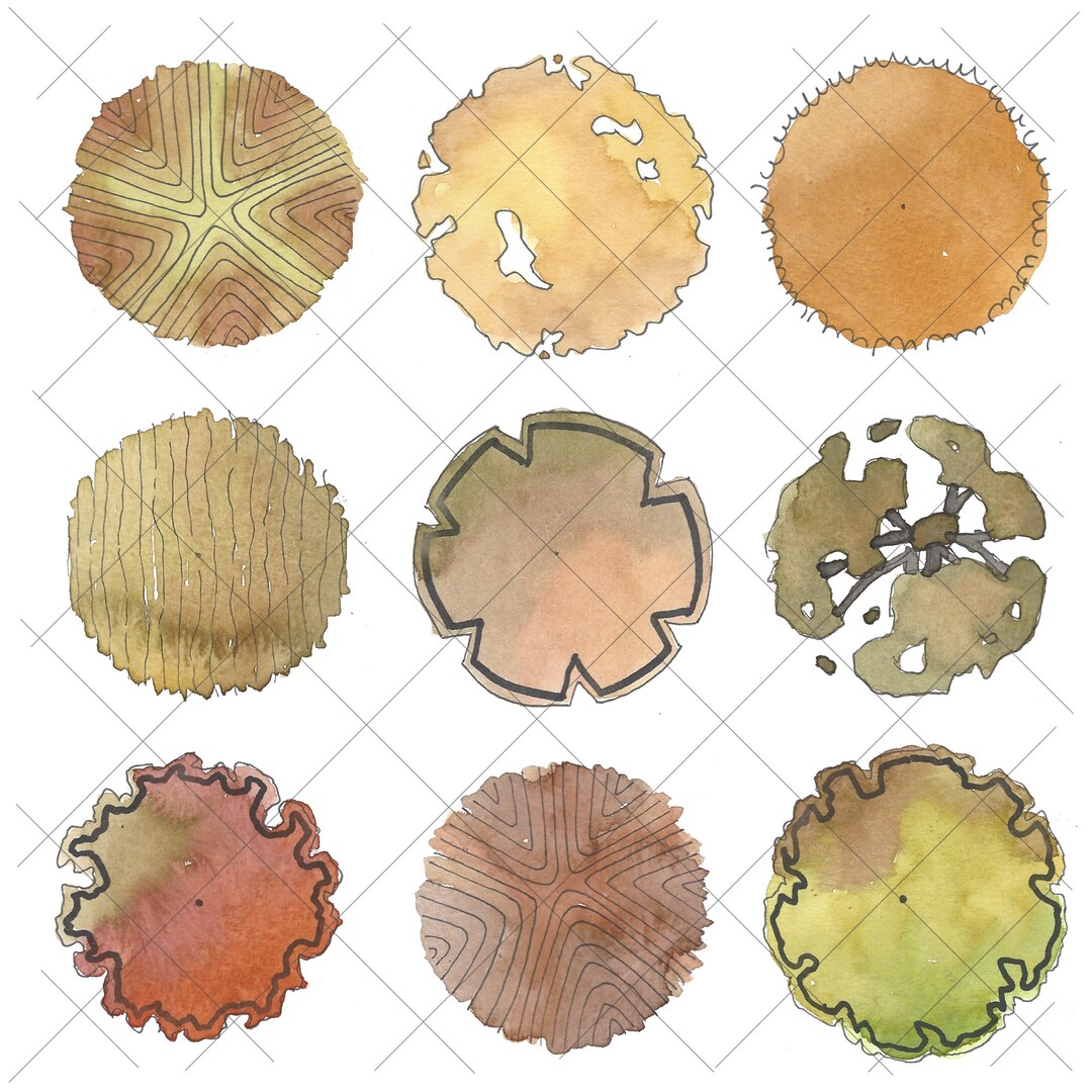 Landscape Graphics - Plan View Trees - Watercolor - Brown Variety - Etsy