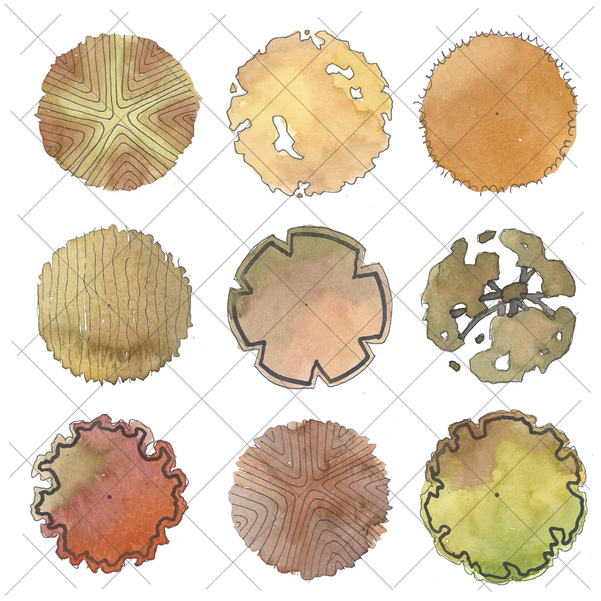 Landscape Graphics - Plan View Trees - Watercolor - Brown Variety - Etsy