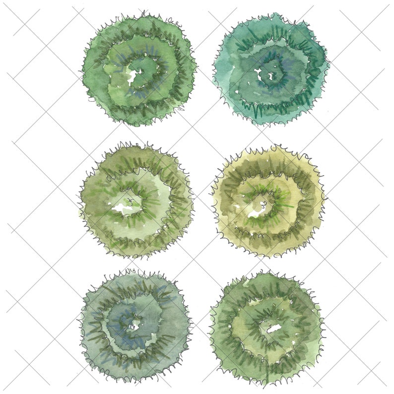 Landscape Graphics - Plan View Trees - Watercolor Pencil - Tree 004 - Etsy