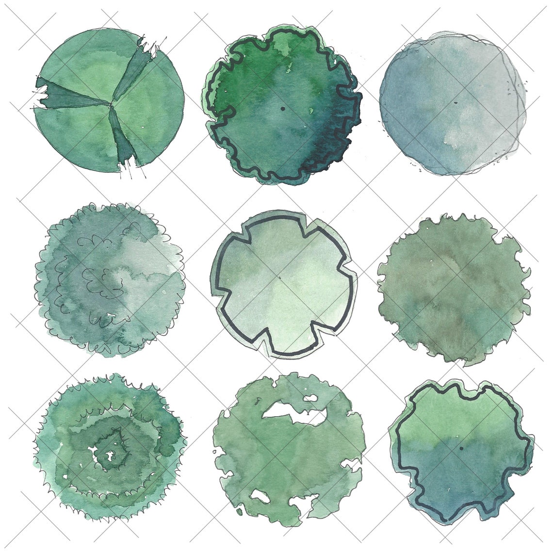Landscape Graphics - Plan View Trees - Watercolor - Cool Green Variety ...
