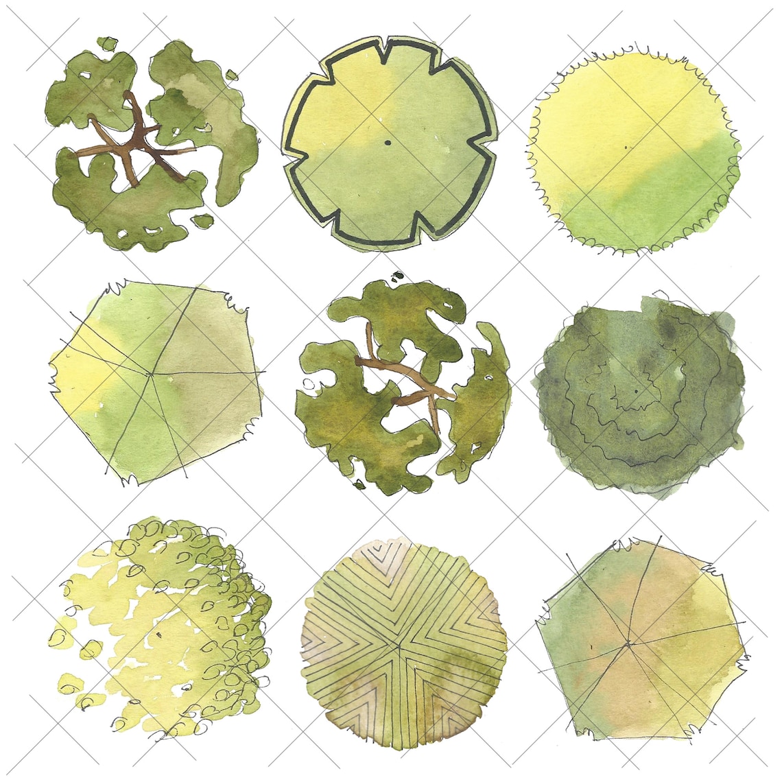 Landscape Graphics Plan View Trees Watercolor Warm Green Variety - Etsy