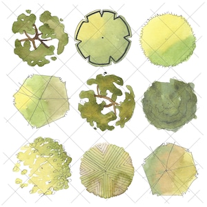 Landscape Graphics - Plan View Trees - Watercolor - Warm Green Variety ...