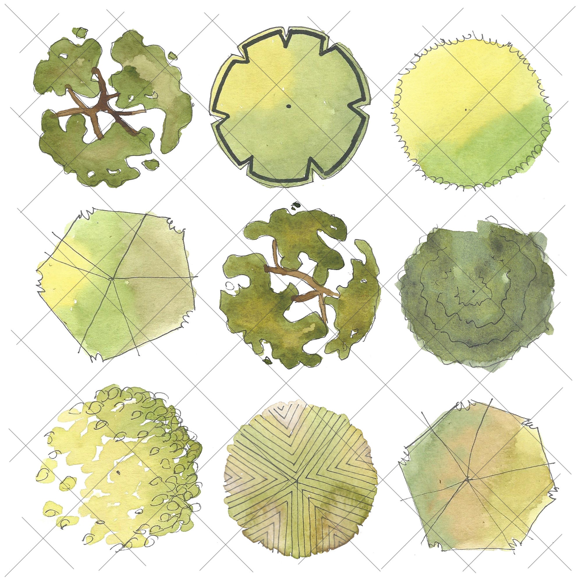 Landscape Graphics - Plan View Trees - Watercolor - Warm Green Variety ...