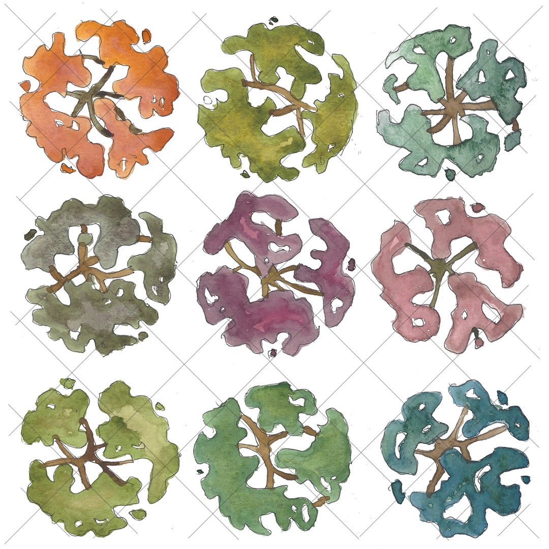 Landscape Graphics - Plan View Trees - Watercolor - Tree 011 - Etsy