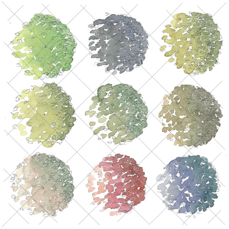 Landscape Graphics - Plan View Trees - Watercolor - Tree 014 - Etsy