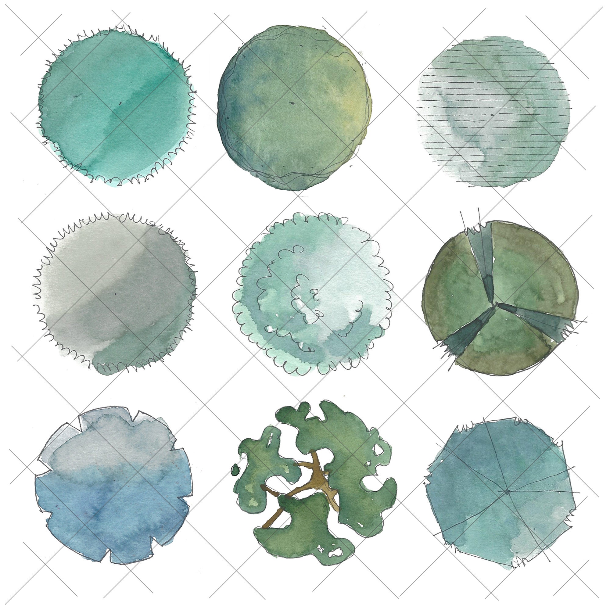Landscape Graphics - Plan View Trees - Watercolor - Cool Green Variety ...