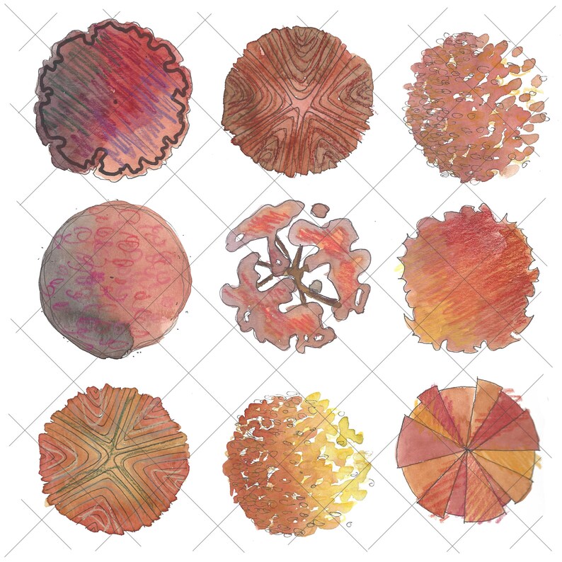 Landscape Graphics - Plan View Trees - Watercolor Pencil - Red Variety ...
