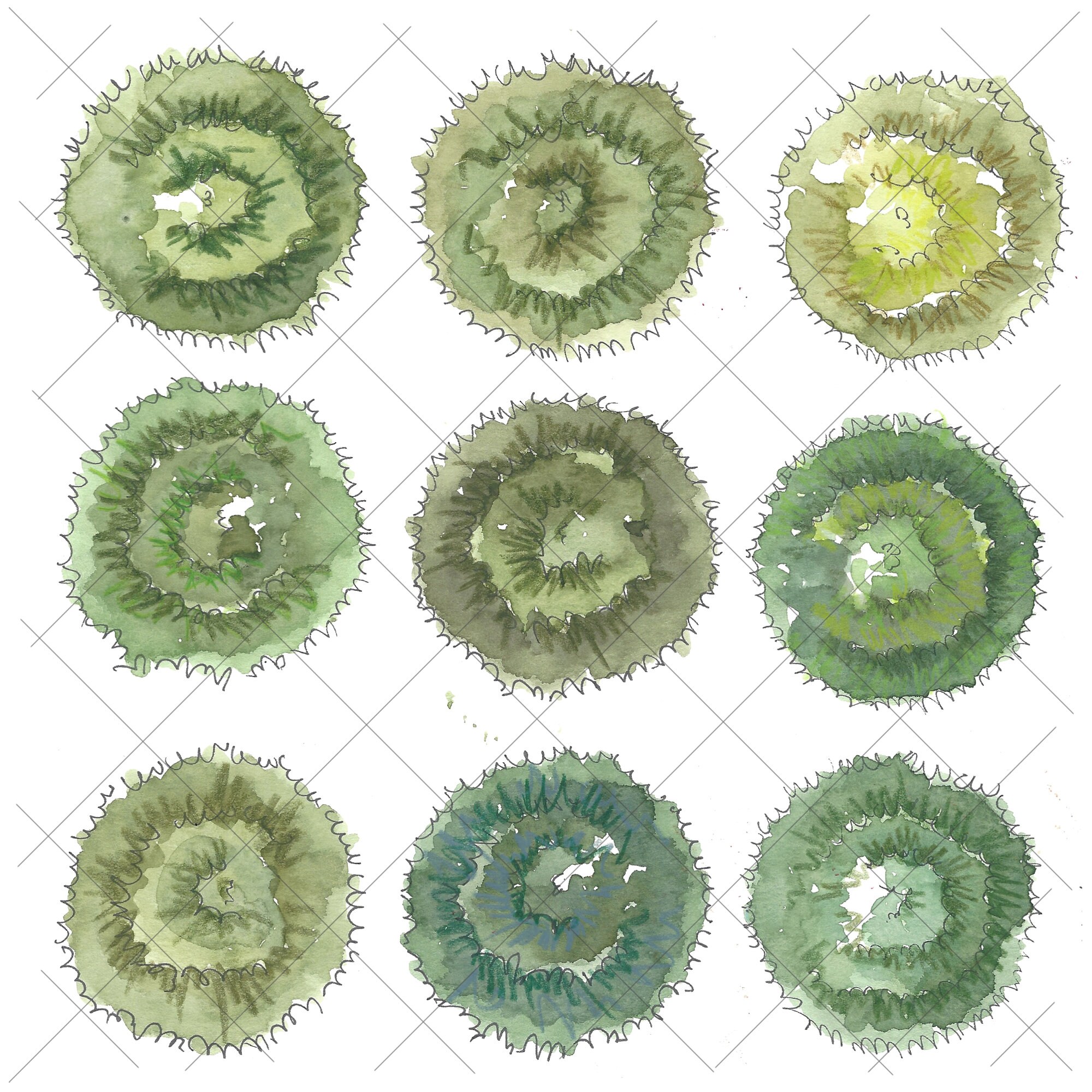 Landscape Graphics - Plan View Trees - Watercolor Pencil - Tree 004 - Etsy