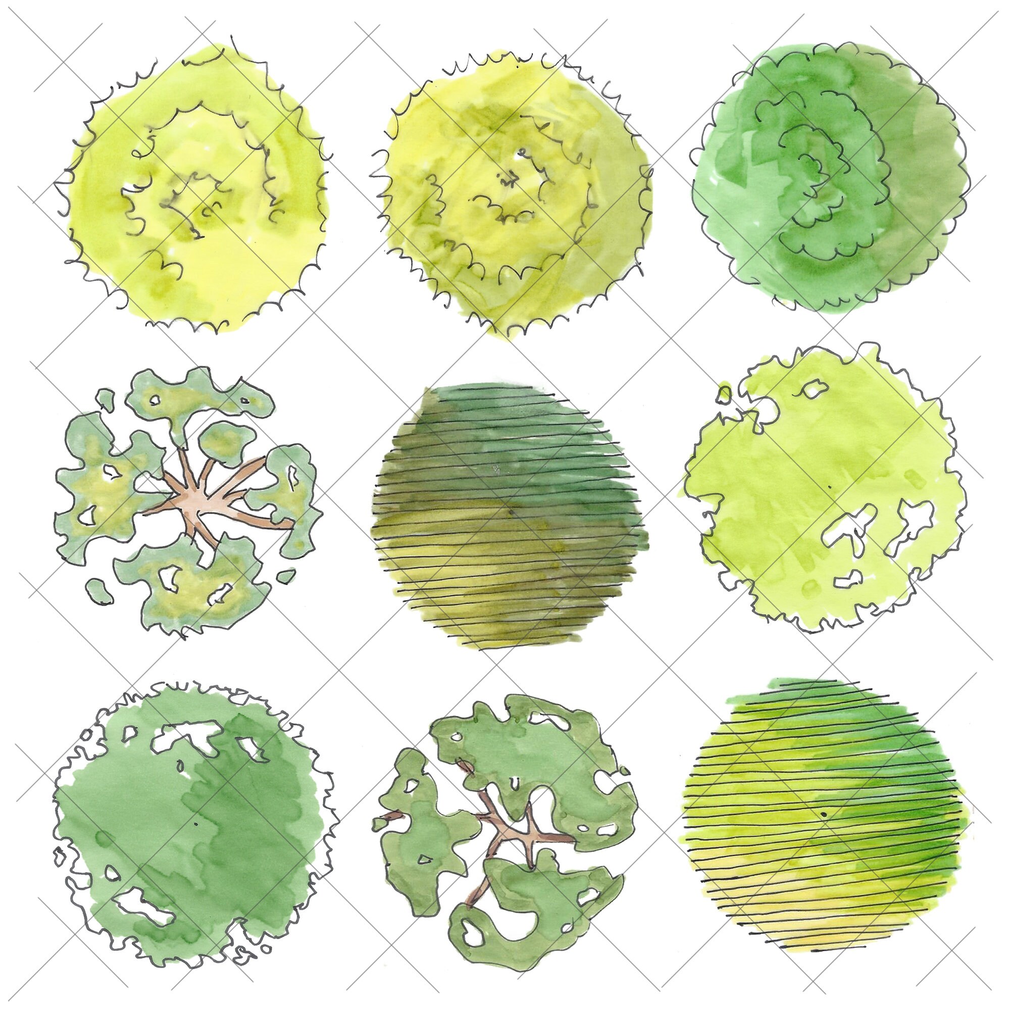 Landscape Graphics - Plan View Trees - Marker - Bright Green Variety - Etsy