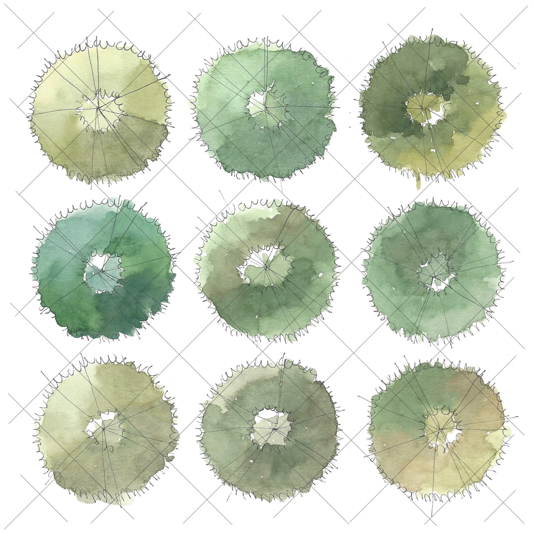 Landscape Graphics - Plan View Trees - Watercolor - Tree 003 - Etsy