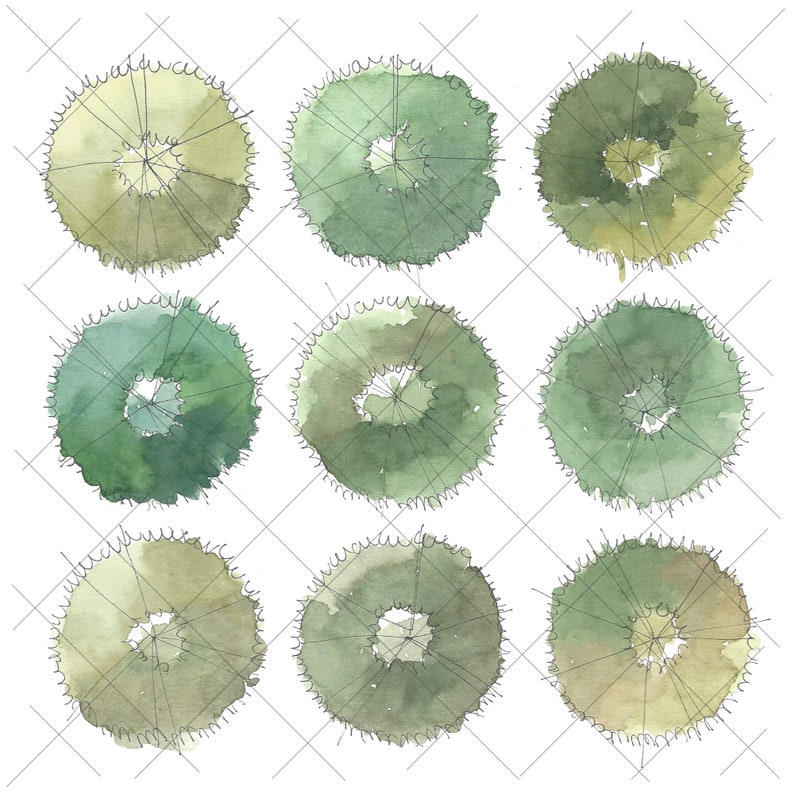Landscape Graphics - Plan View Trees - Watercolor - Tree 003 - Etsy