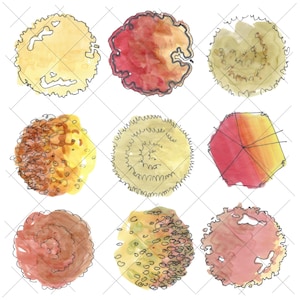 Landscape Graphics - Plan View Trees - Marker - Fall Variety - Etsy