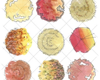 Landscape Graphics Plan View Trees Watercolor Tree 007 (Download Now ...