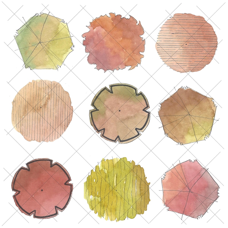 Landscape Graphics - Plan View Trees - Watercolor - Fall Variety - Etsy