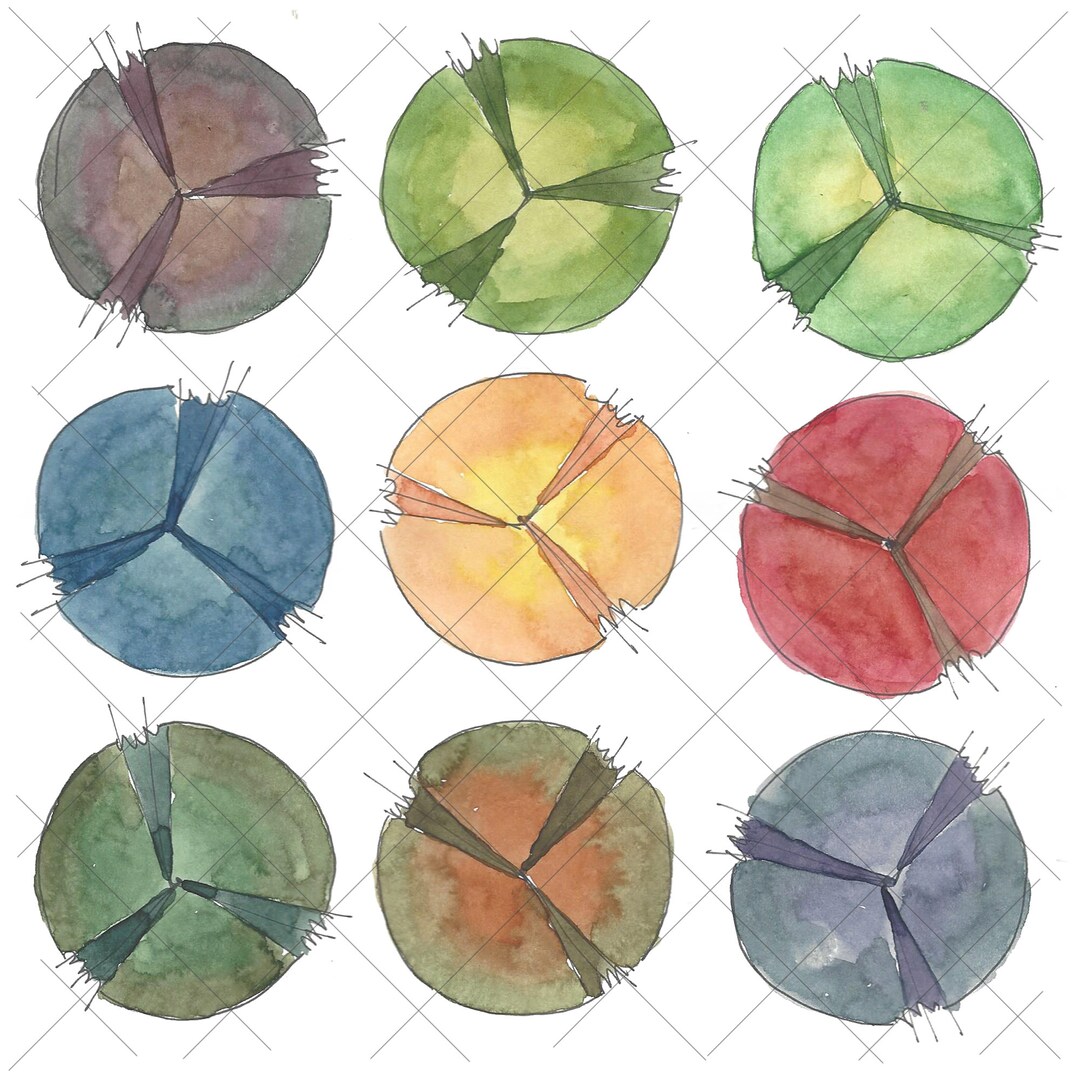 Landscape Graphics - Plan View Trees - Watercolor - Tree 009 - Etsy