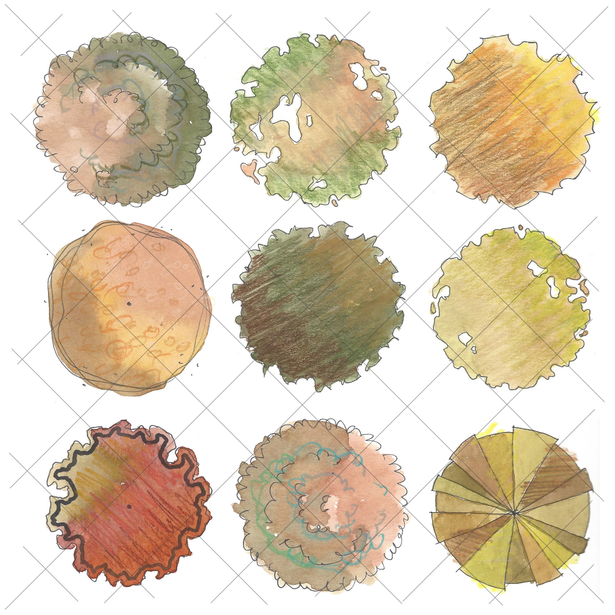 Landscape Graphics - Plan View Trees - Watercolor Pencil - Brown ...