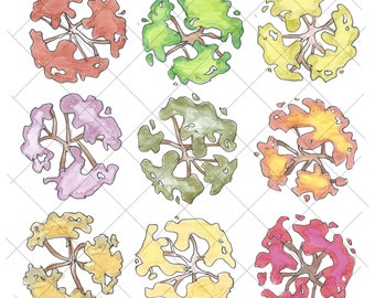 Landscape Graphics Plan View Trees Watercolor Tree 004 - Etsy