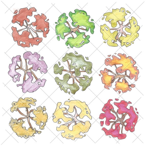 Landscape Graphics Plan View Trees Marker Tree 011 - Etsy