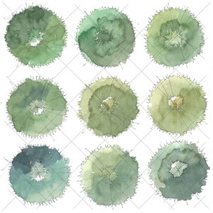 Landscape Graphics - Plan View Trees - Watercolor - Tree 003 - Etsy