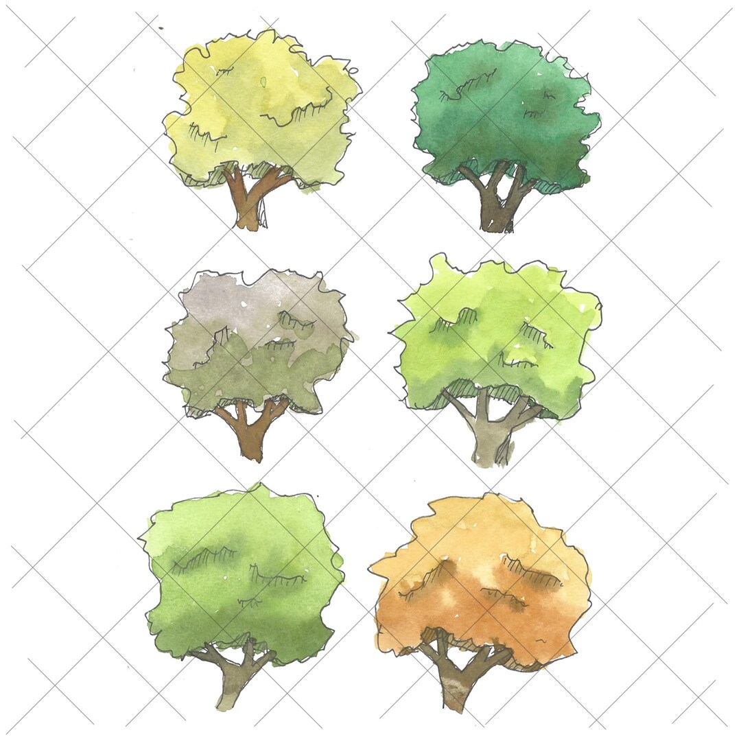 Landscape Graphics - Elevation View Trees - Watercolor - Tree 301 - Etsy