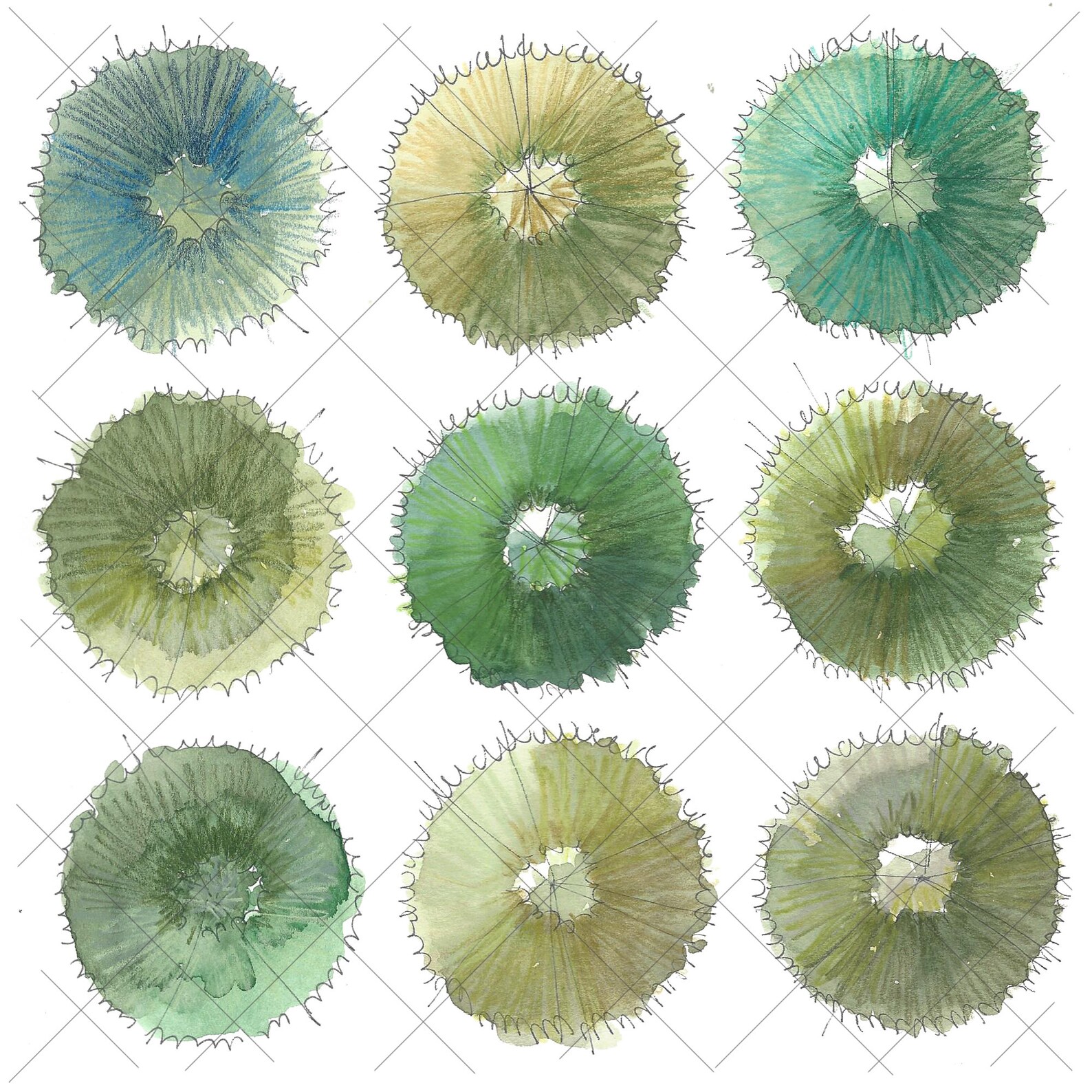 Landscape Graphics - Plan View Trees - Watercolor Pencil - Tree 003 - Etsy