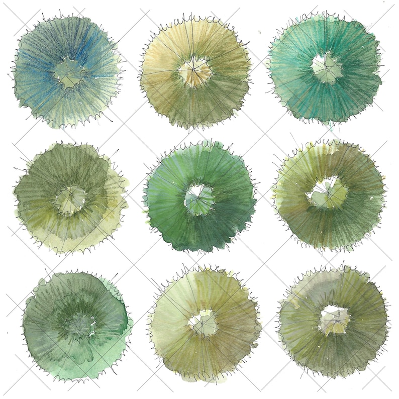 Landscape Graphics - Plan View Trees - Watercolor Pencil - Tree 003 - Etsy