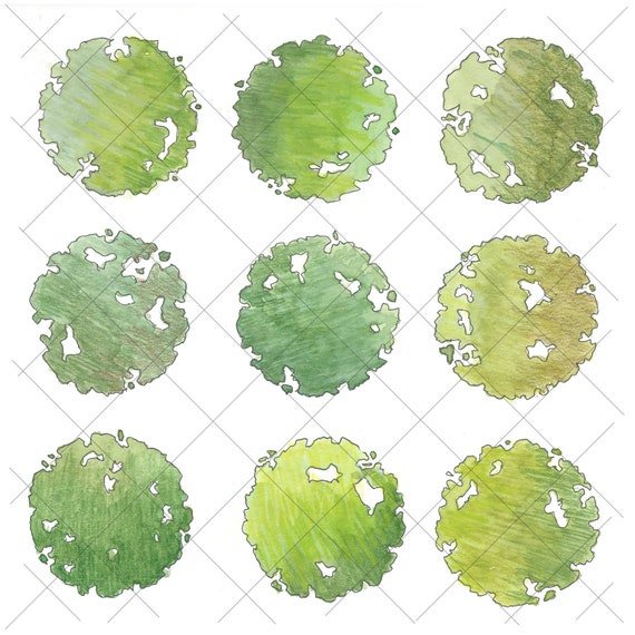 Photoshop Plants Plan View