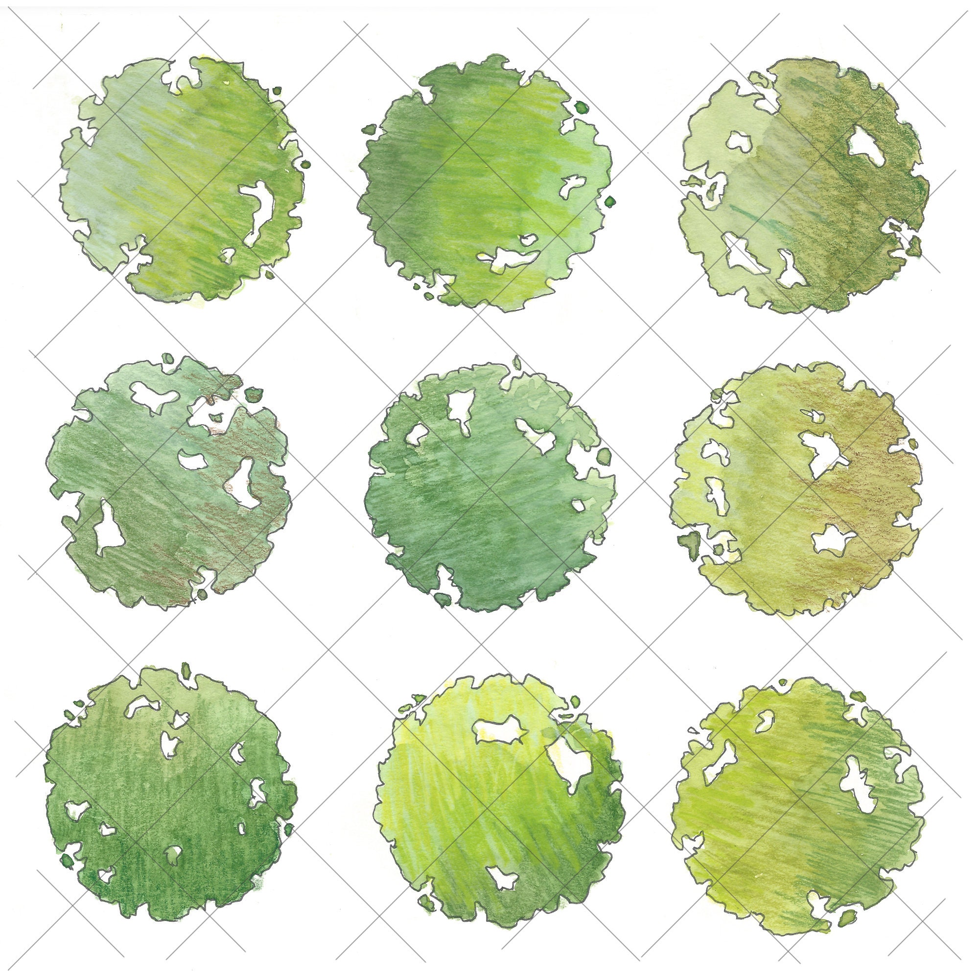 Landscape Graphics - Plan View Trees - Watercolor Pencil - Tree 001 ...