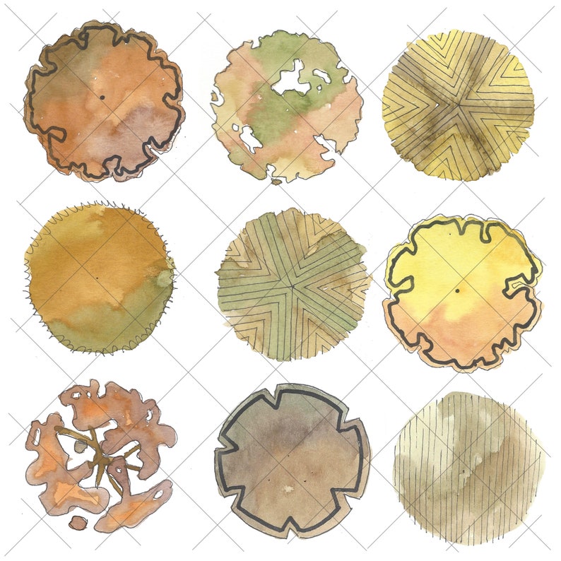 Landscape Graphics - Plan View Trees - Watercolor - Brown Variety - Etsy
